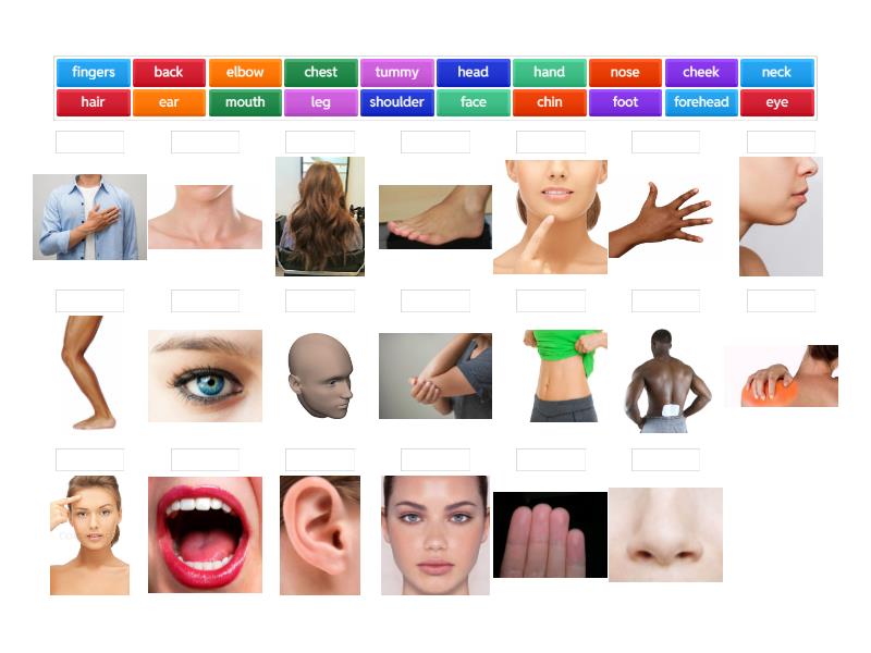 Body parts match - Match up