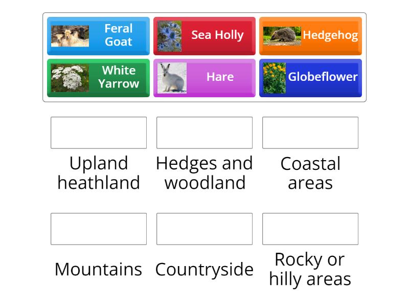 Where Plants and Animals Live - Match up