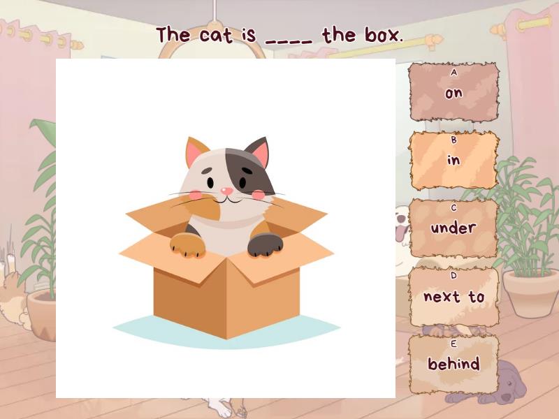 Prepositions of place | The cat & the box - Quiz
