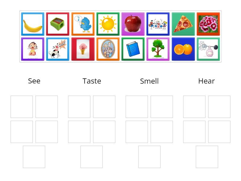 WOW3 U5 Vocabulary Sorting - Group sort