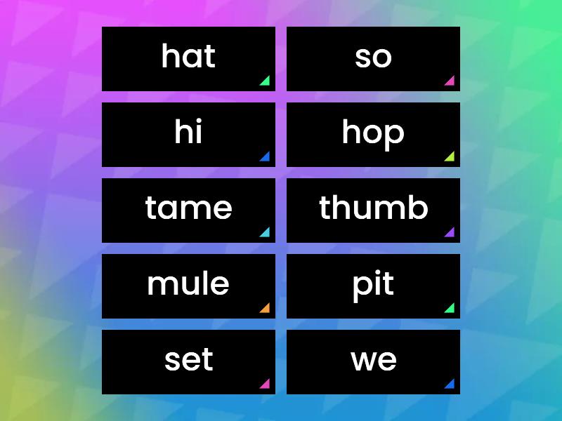 Long & Short Vowels - SIPPS Ext. Lesson 9 - Flip tiles