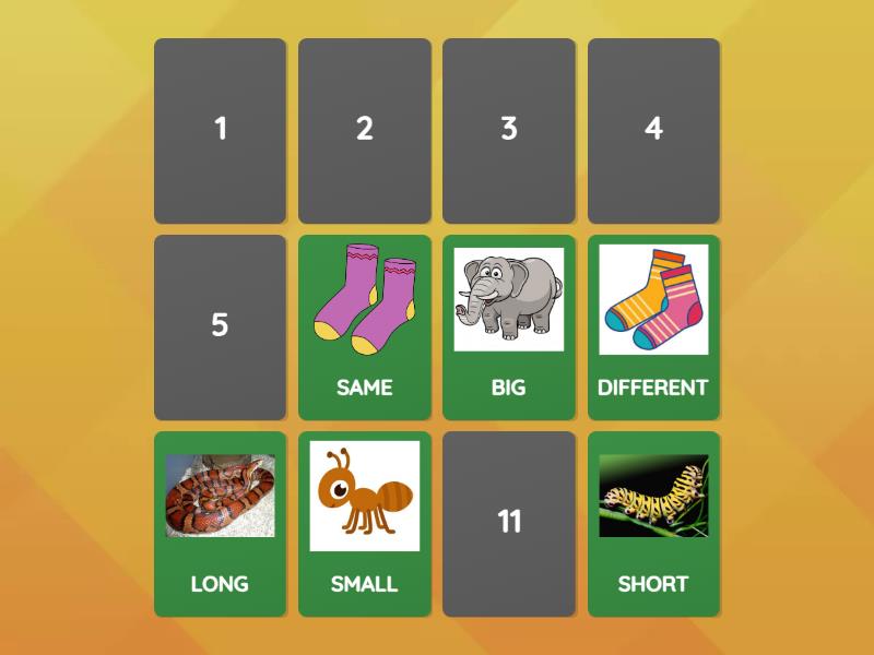 OPPOSITES - MEMORY GAME - Matching pairs