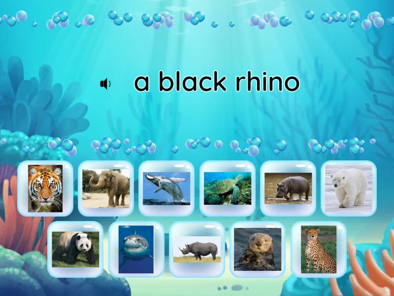 Ready 6B Unit 2 Vocabulary: Endangered Animals - Find the match