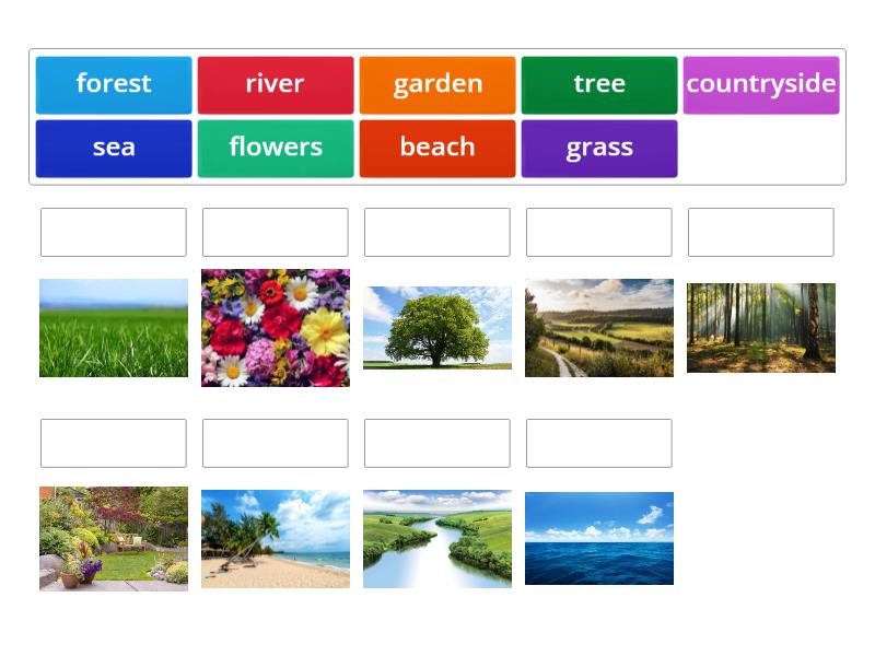 Prepare 5 NUS. Unit 17. The natural world - Match up