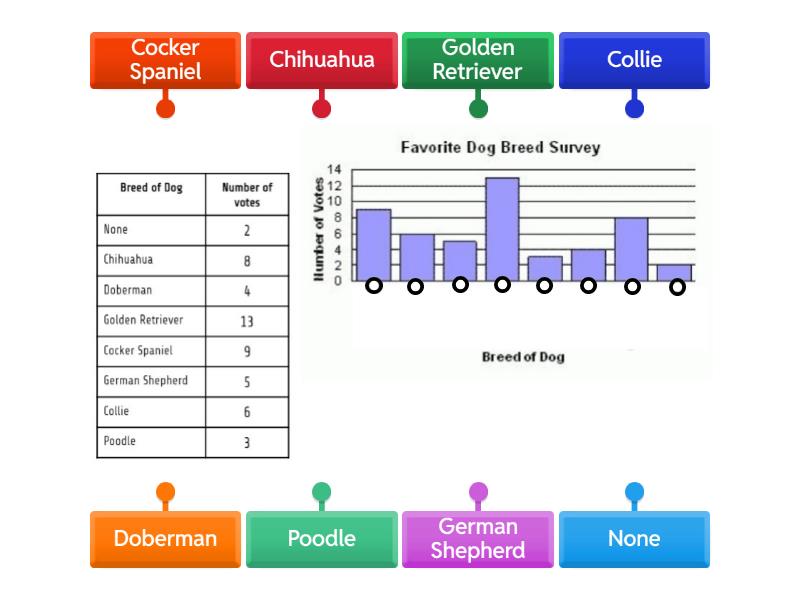Bar Graph Label 2 - Labelled diagram