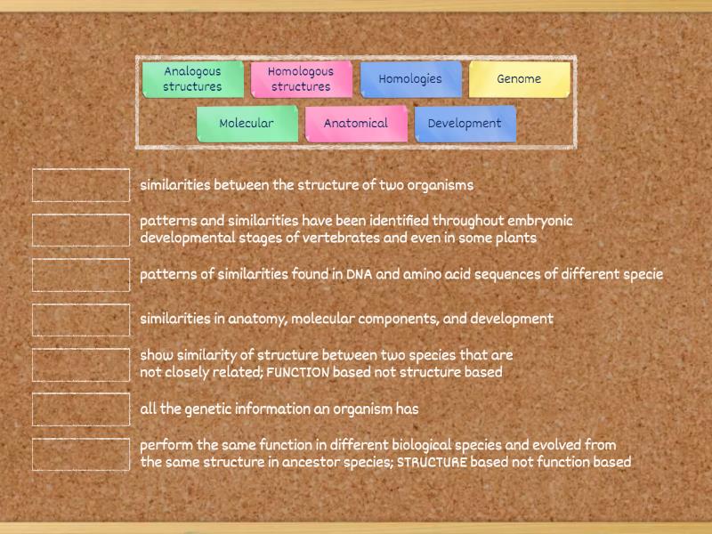 Common Ancestry: Evidence of Evolution Part 1 - Match up