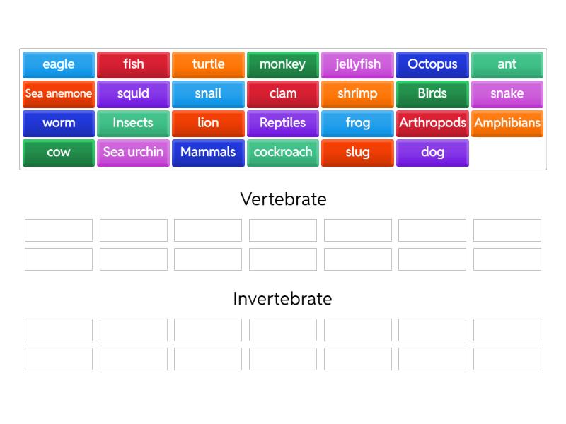 4th Science: Vertebrate vs Invertebrate Sort - Group sort