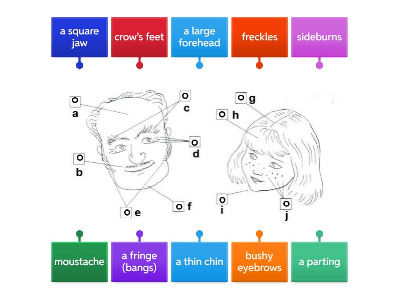 Facial features - Labelled diagram