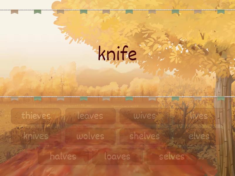 CKLA Unit 3 Lesson 6 - Find the match