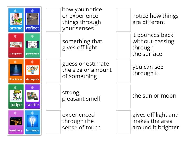 Critical Vocabulary for What Are The 5 Senses? and The Science Behind ...