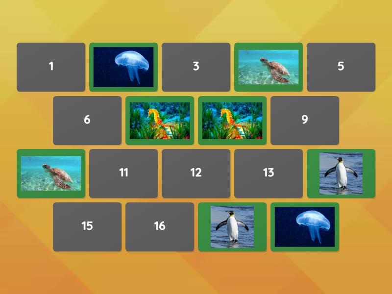Sea animals - Matching pairs