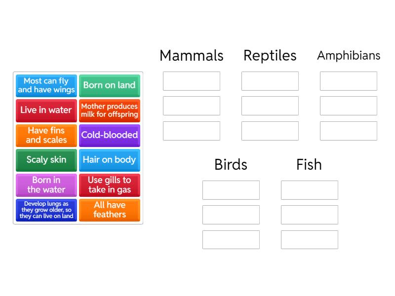 Animals and their Characteristics - Group sort