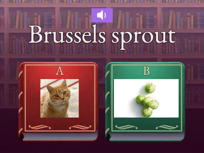 The scariest thing in the garden - Quiz