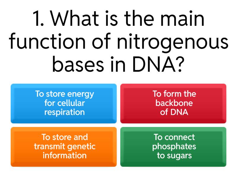 Nucleic acid (DNA and RNA) - Quiz