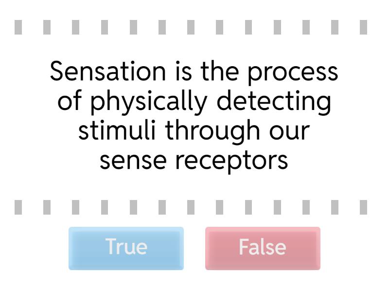 Year 9 taster quiz - sensation and perception - True or false