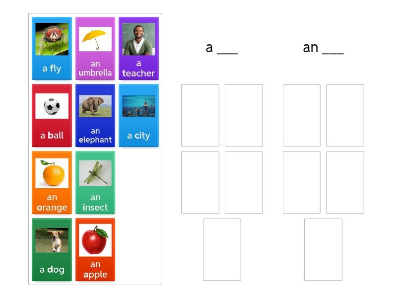Sorting a and an (RM1, Unit 2B) - Group sort