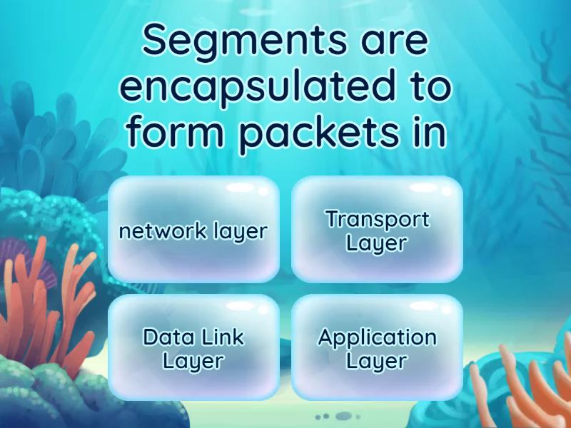unit 9: Lesson1: Activity 4: Packets - Quiz