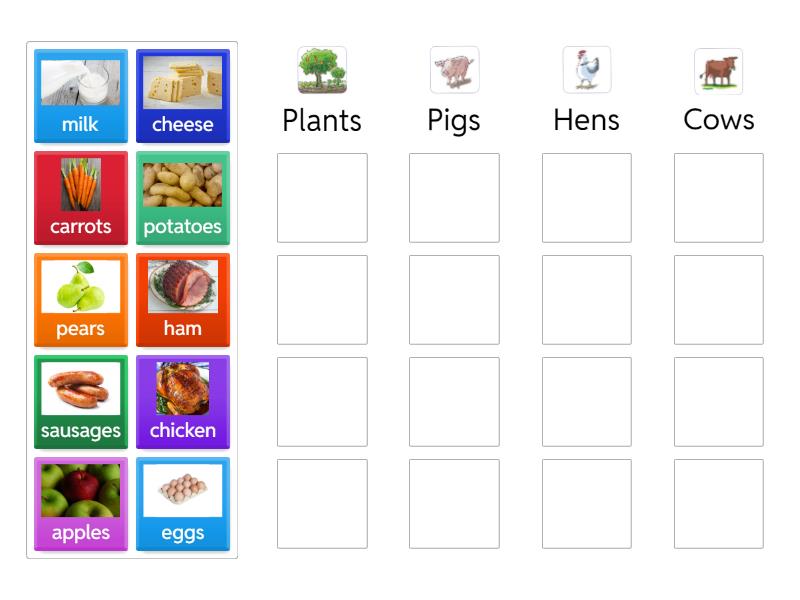 Food from plants and animals - Group sort