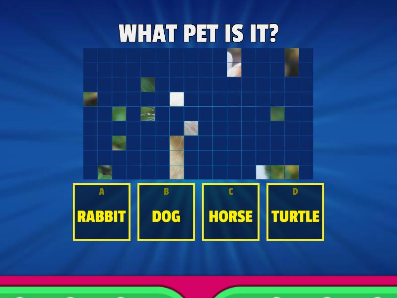 GUESS THE PET - Image quiz