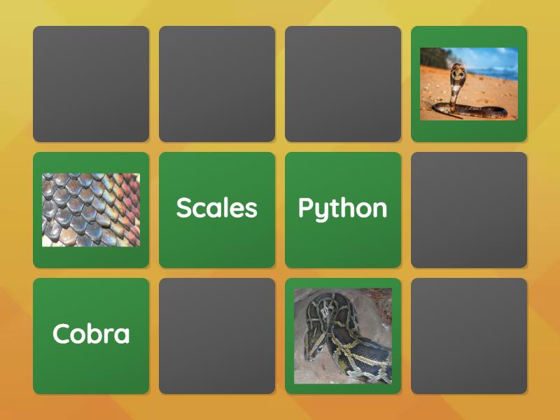 Snakes! - Matching pairs