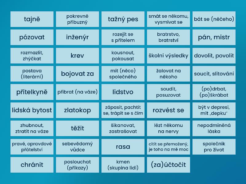 Bloggers 4 Unit 2C + 2D - Vocabulary () - Flip tiles