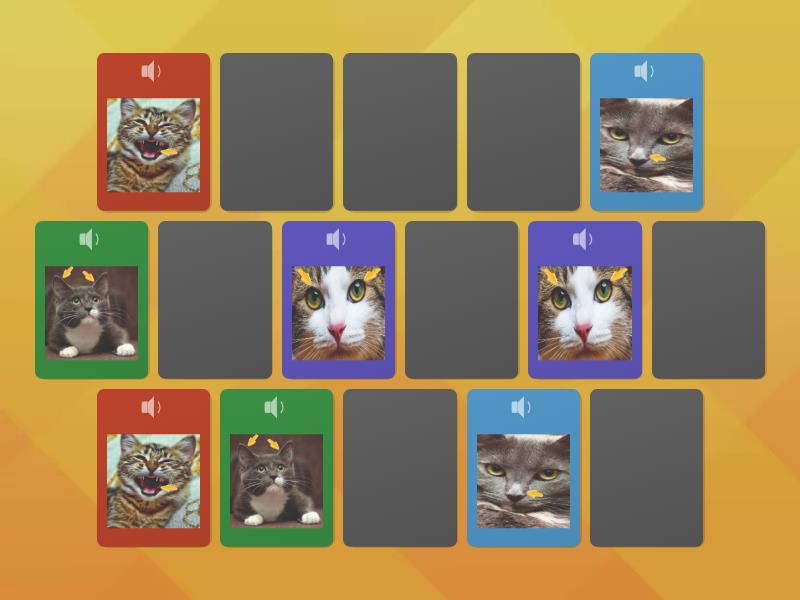 Cats - Matching pairs