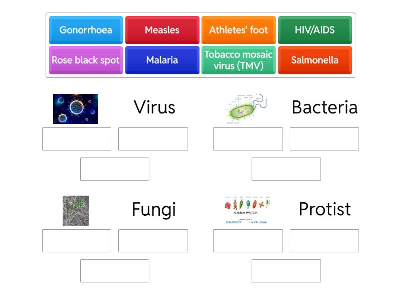 Infectious disease - Group sort