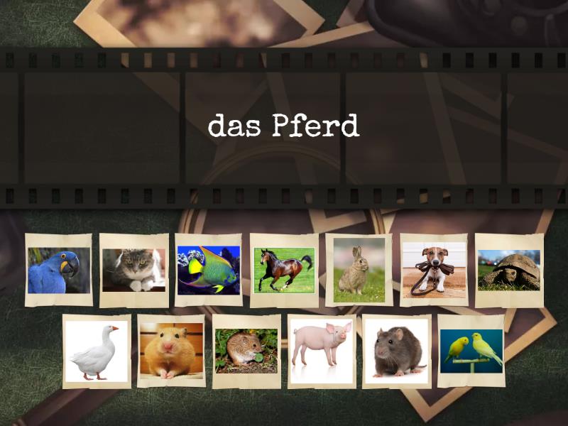 Bruno und ich 2 L. 9 Bruno hat Besuch - Znajdź parę