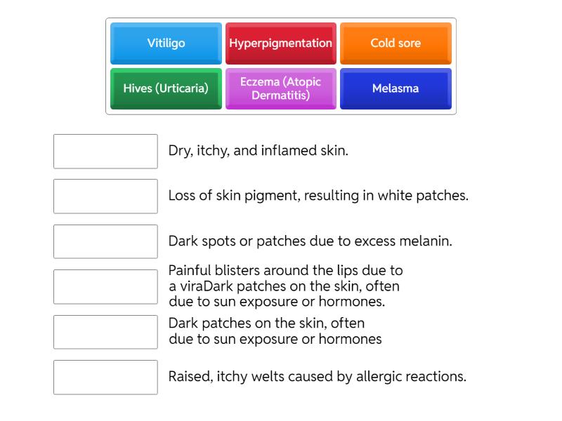 Skin diseases/disorders - Match up