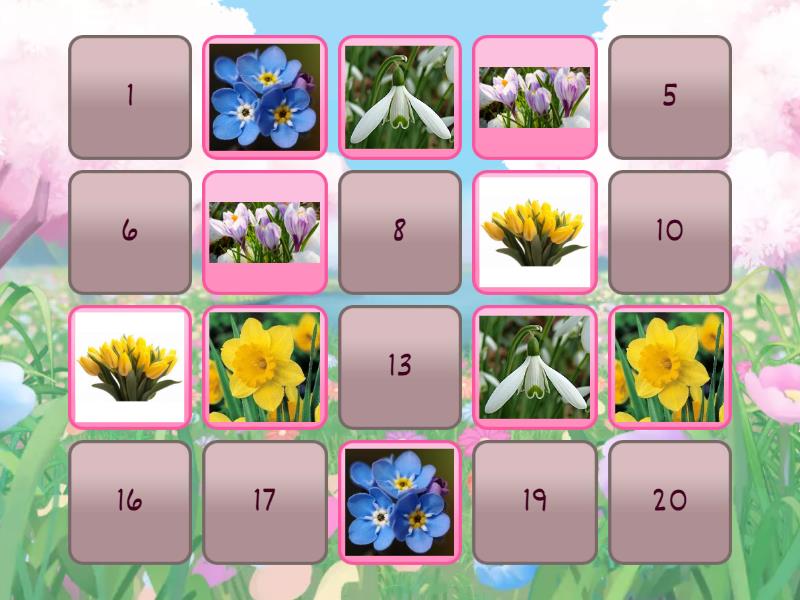 SPRING FLOWERS - Matching pairs