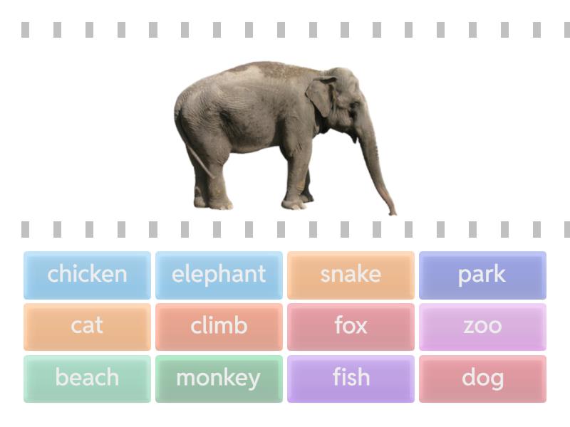 Module 8_ Lesson 4 - Find the match
