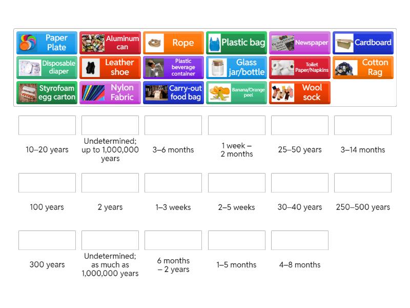 Garbage Decomposition Timeline Matching Activity - Match up