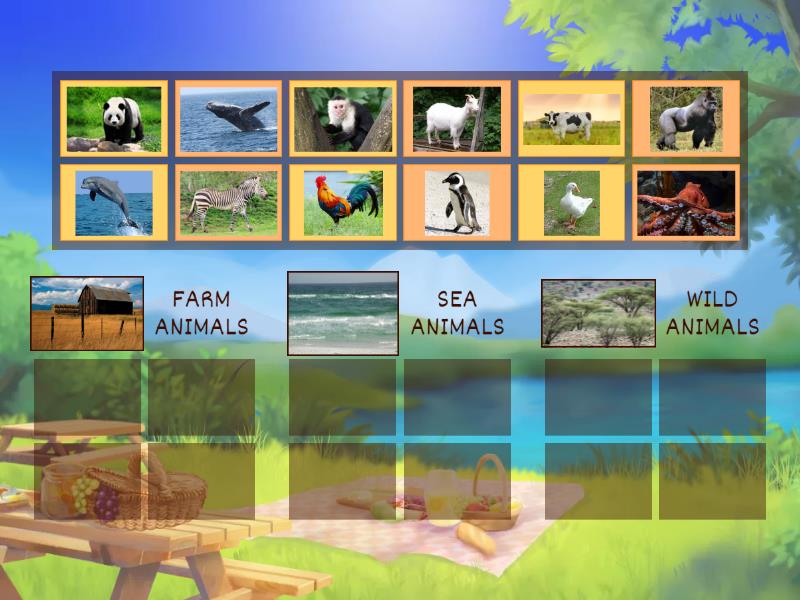 CATEGORIES OF ANIMALS - Group sort