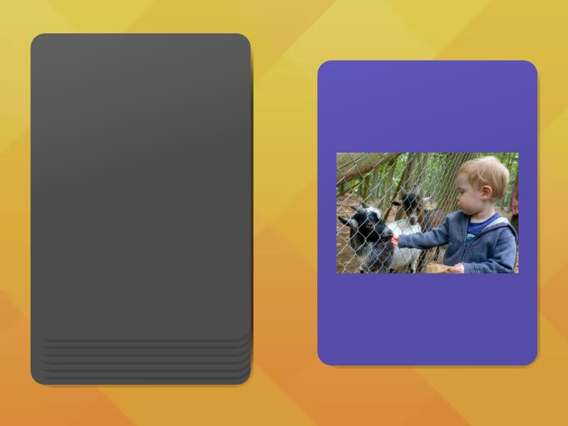 AS2 U8 Would you like to...? - Случайные карты