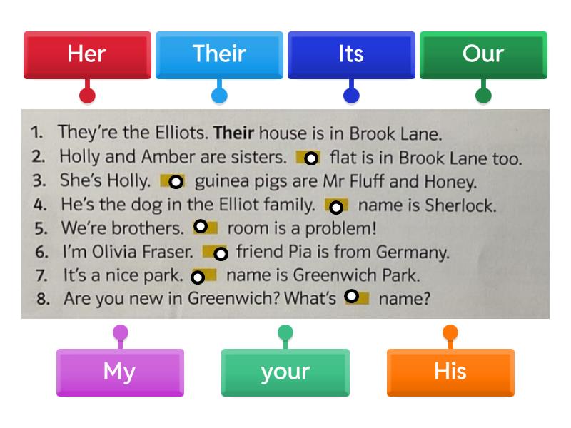 Possessive Pronouns - Labelled diagram
