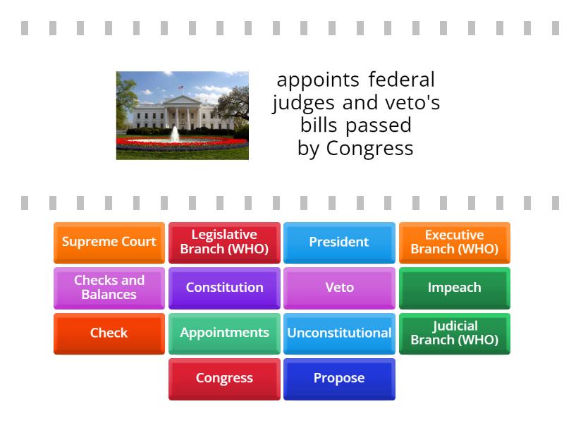 Branches of Government & Checks and Balances - Cada oveja con su pareja