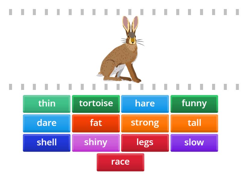 The hare and the tortoise part 1 matching - Eşleşmeyi bul
