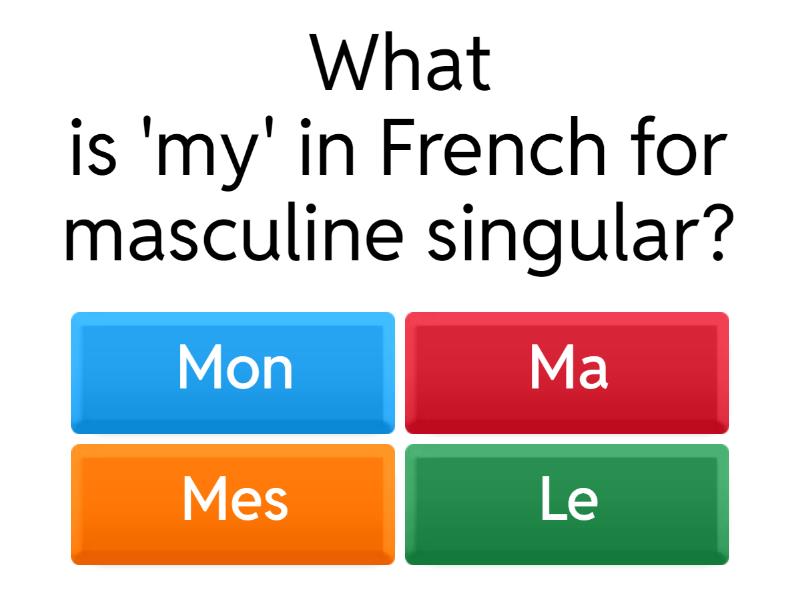 French Possessive Adjectives - Quiz