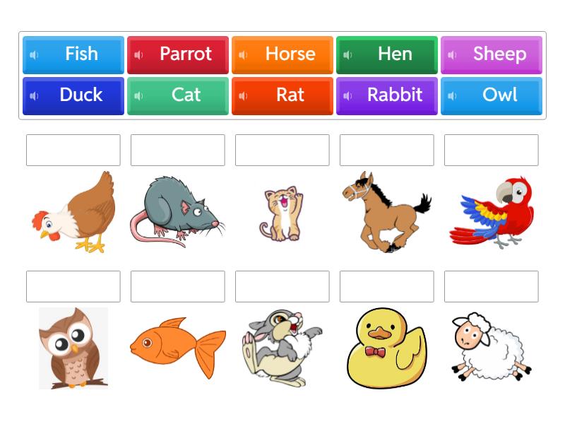 Matching animals - Match up