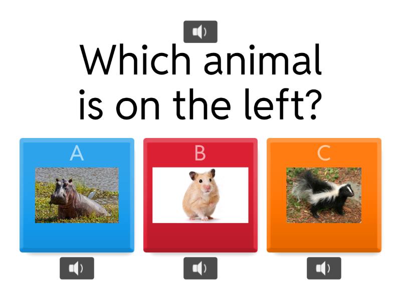 Left, right, middle - Which one? - Quiz