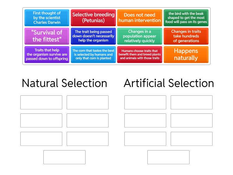 Natural Selection vs Artificial Selection - Group sort