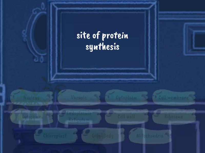 Cell Organelle Challenge Matching Game - Find the match