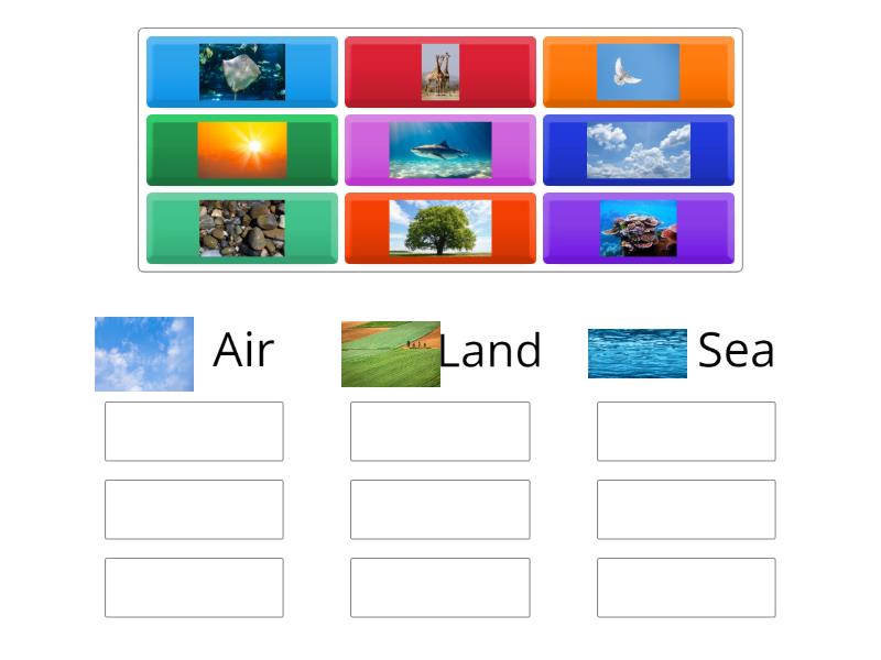 Air, Land & Sea Sorting - Group sort