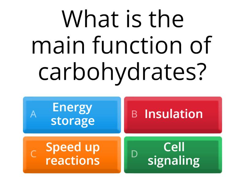 Understanding Carbohydrates and Lipids - Quiz