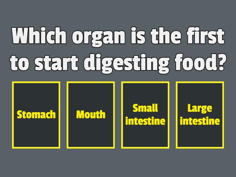 Digestive System Multiple Choice - Quiz