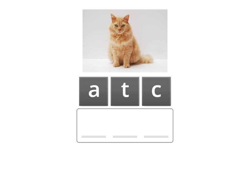 KJ Unscramble Short a Words - Anagram