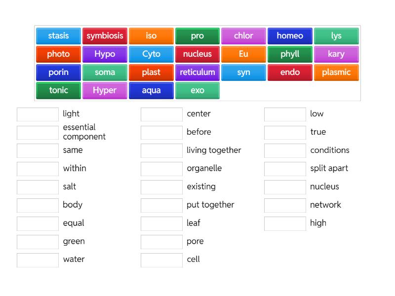 Science cell organelle word roots - Match up