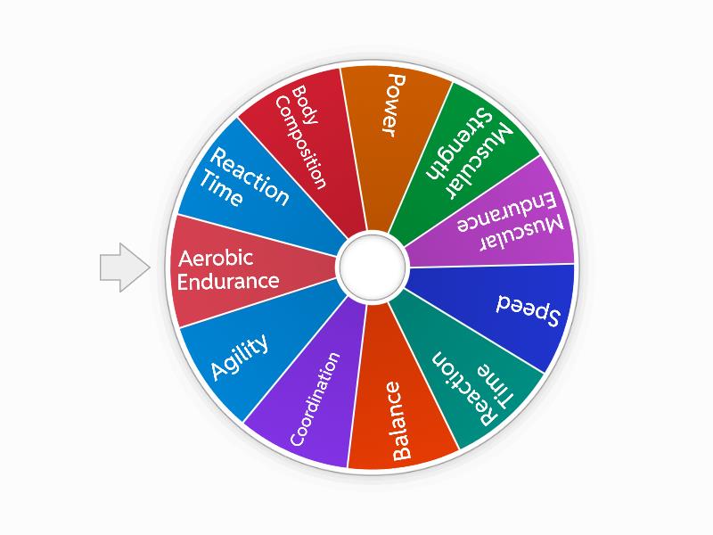 Components of Fitness Wheel - Spin the wheel