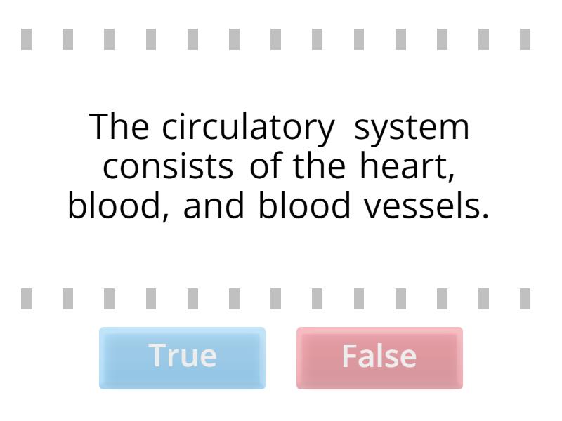Circulatory System (True or False) - Verdadero o falso