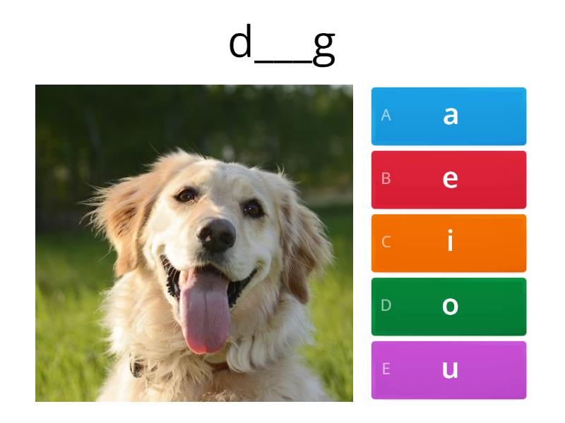 AS1 U5 letters a/e/i/o/u - Quiz